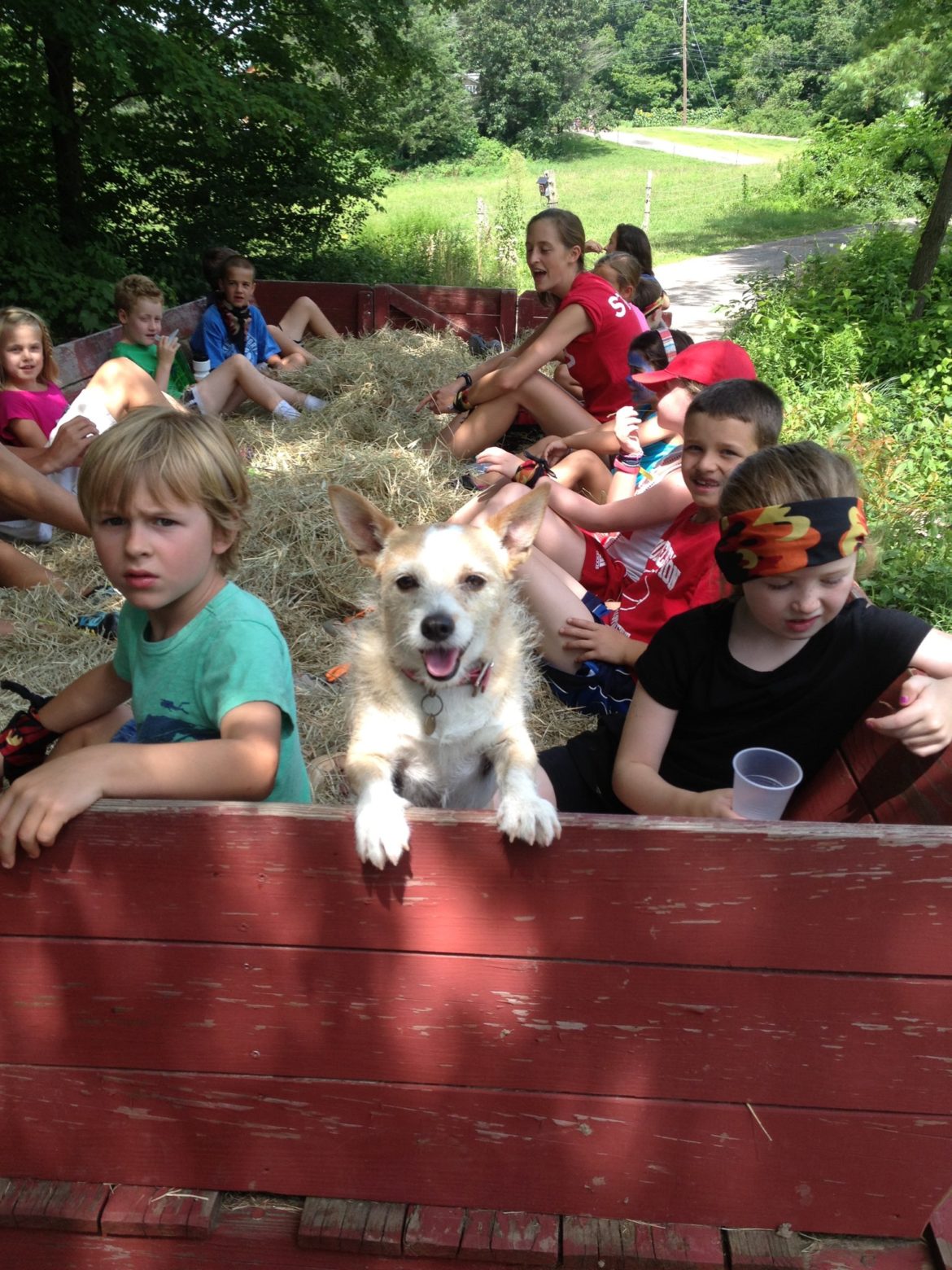 Summer Camp in Simsbury, CT | Flamig Farm
