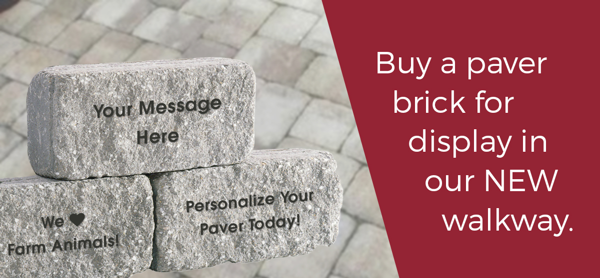 Farm in Simsbury, CT | Flamig Farm