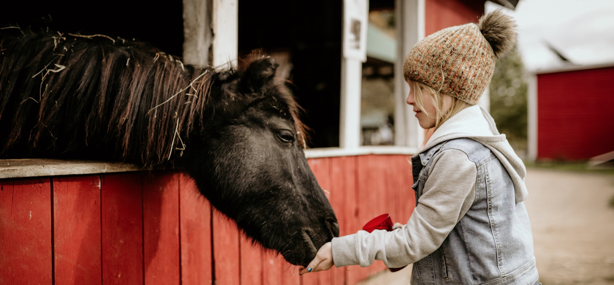 Farm in Simsbury, CT | Flamig Farm